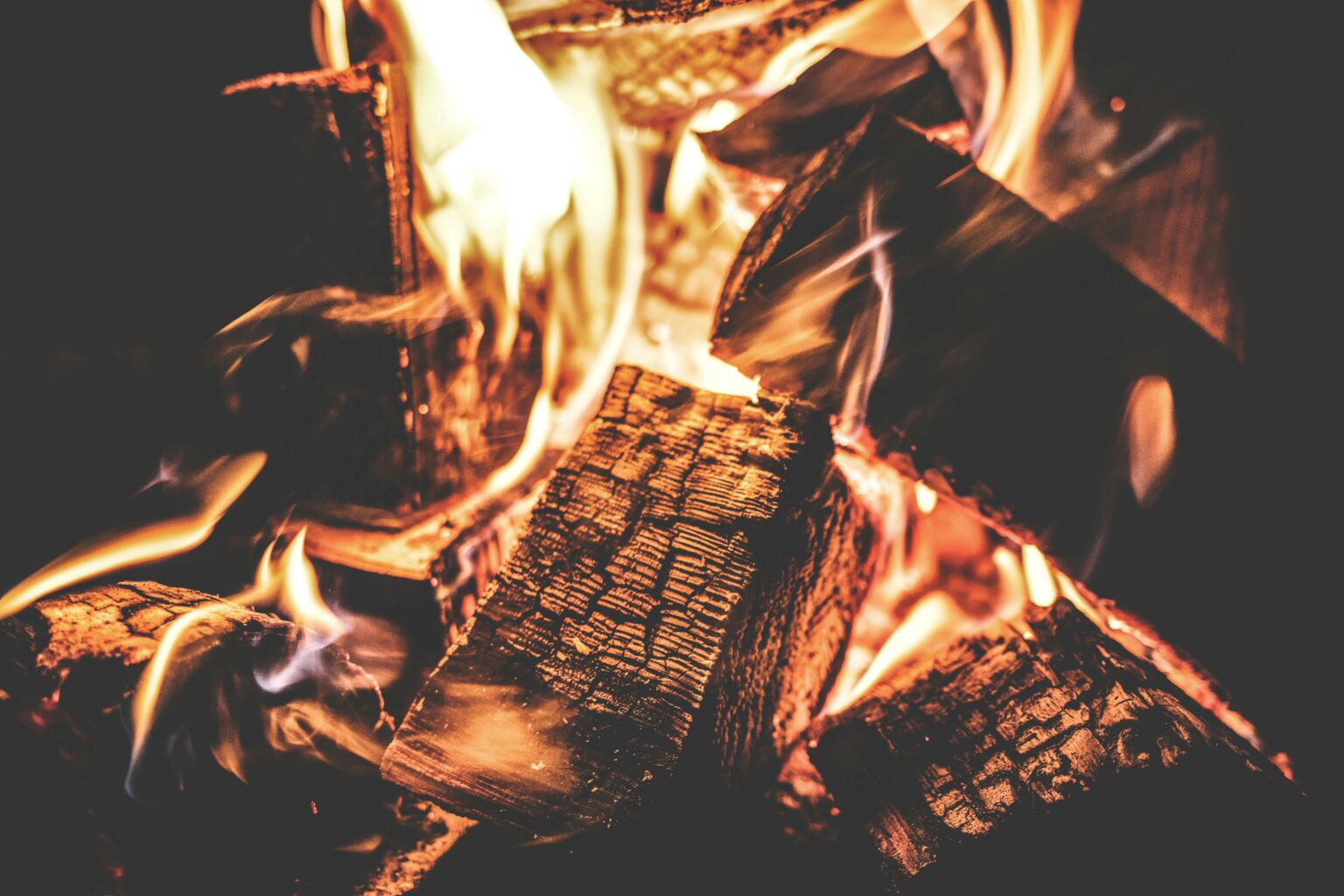 The Burning Truth: Different Types Of Wood And How They Burn | St ...